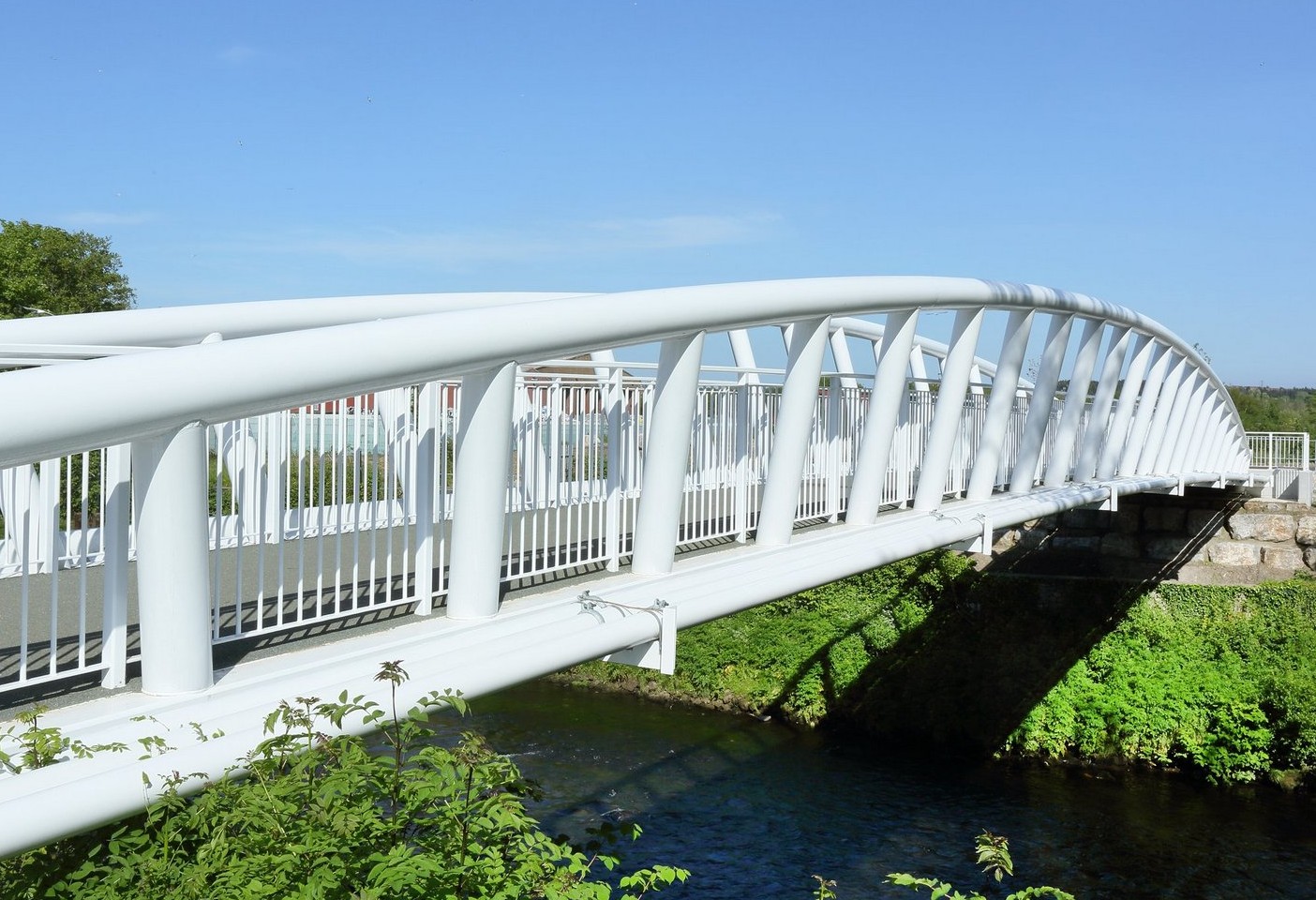 Cycle Bridges and Bridle Bridges